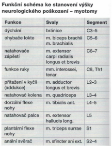 Poranenia miechy - Medicína a chirurgia